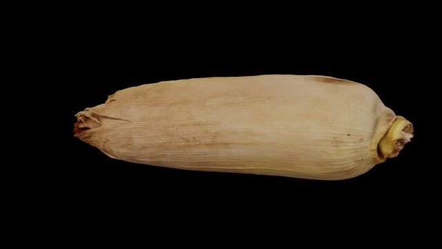 "On The Cob" Images – Browse 156 Stock Photos, Vectors, and Video ...