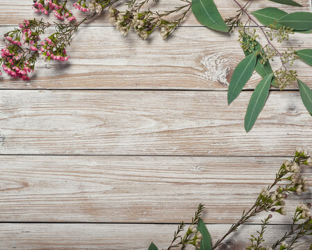 Blumme Bilder – Durchsuchen 96 Archivfotos, Vektorgrafiken und Videos ...