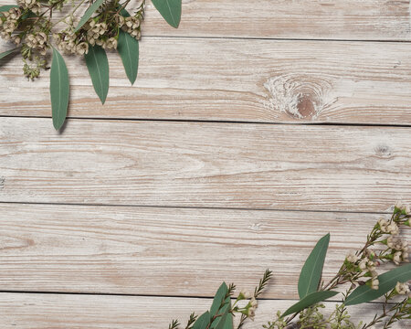 Blumme Bilder – Durchsuchen 96 Archivfotos, Vektorgrafiken und Videos ...