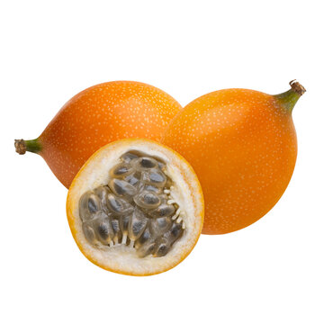 Barbadine bilder – Bläddra bland 2,095 stockfoton, vektorer och videor ...