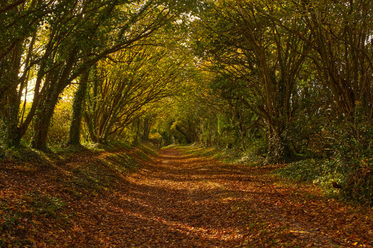 รูปภาพHalnaker – เลือกดูภาพถ่ายสต็อก เวกเตอร์ และวิดีโอ174 | Adobe Stock