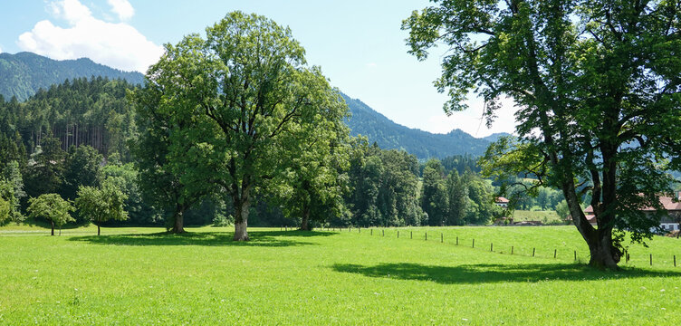 Heimat Images – Parcourir 44,922 le catalogue de photos, vecteurs et ...