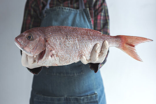 Brachse Bilder – Durchsuchen 44,129 Archivfotos, Vektorgrafiken und ...