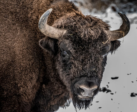 รูปภาพZimbru – เลือกดูภาพถ่ายสต็อก เวกเตอร์ และวิดีโอ96 | Adobe Stock