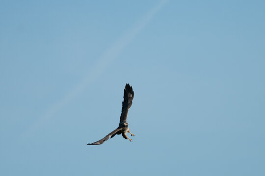 Cadaverin Bilder – Durchsuchen 94,356 Archivfotos, Vektorgrafiken und ...