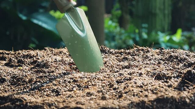 "Garden Trowel" Images – Parcourir 3,113 le catalogue de photos ...