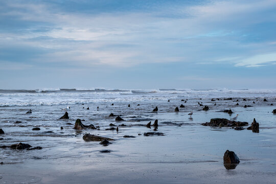 Reviling Bilder – Durchsuchen 745 Archivfotos, Vektorgrafiken und ...