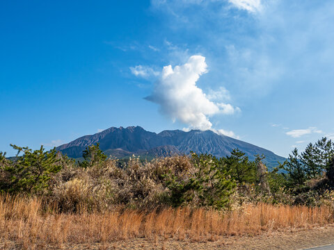 Raucherplatz Bilder – Durchsuchen 877 Archivfotos, Vektorgrafiken und ...