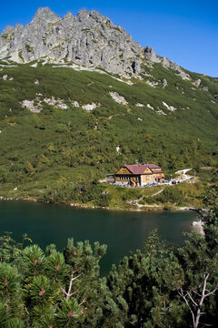 Plese Images – Browse 61 Stock Photos, Vectors, and Video | Adobe Stock