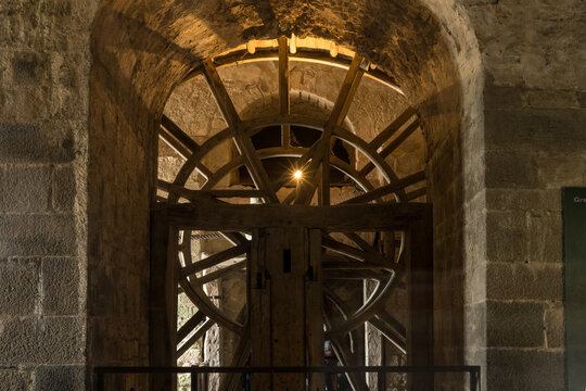 「Tretrad」の写真素材 | 16件の無料イラスト画像 | Adobe Stock