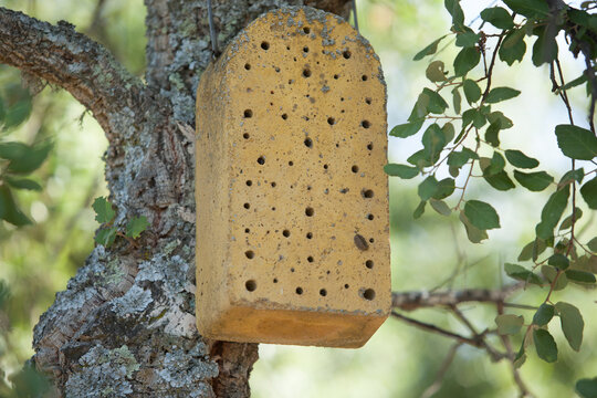 "Bug House" Images – Browse 387 Stock Photos, Vectors, and Video ...