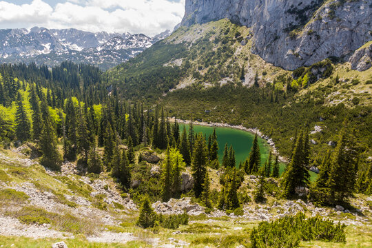 Jablan Bilder – Durchsuchen 35 Archivfotos, Vektorgrafiken und Videos ...