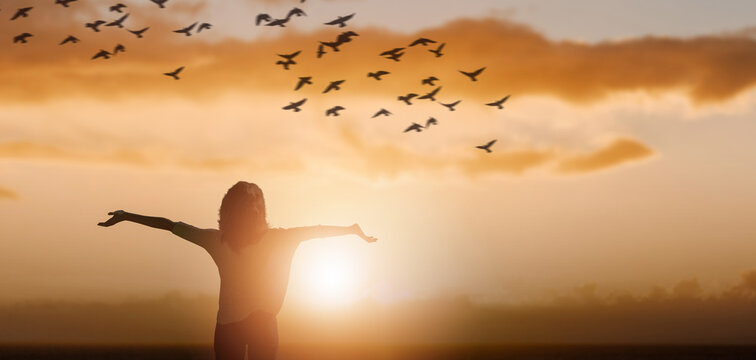 Free Free Images – Browse 8,568 Free Stock Photos, Vectors, and Video ...