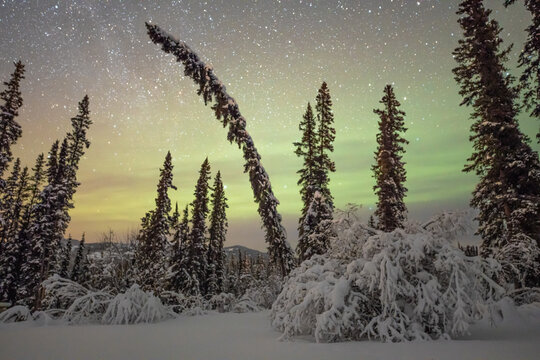 Subarctic Images – Browse 3,410 Stock Photos, Vectors, and Video ...