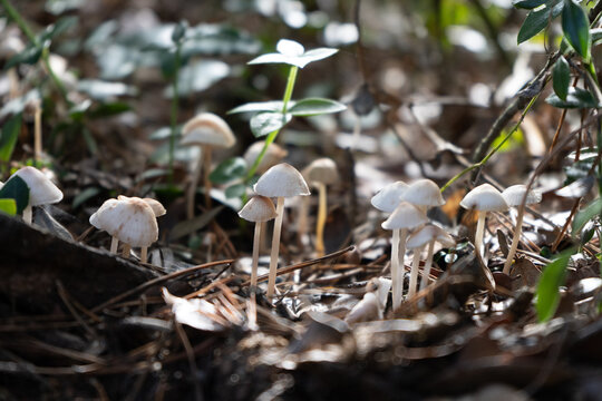 Inhospitable Images – Browse 116,615 Stock Photos, Vectors, and Video ...