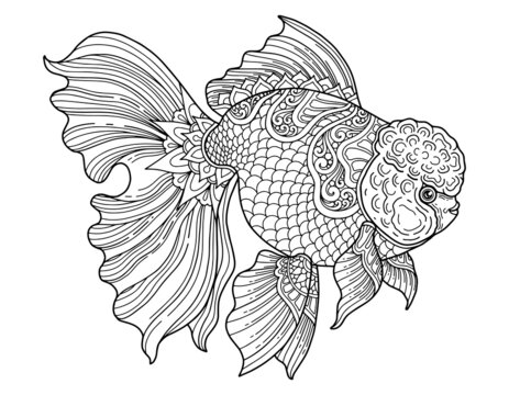 Cartoon Fish Outline Imej – Semak Imbas 687 Foto, Vektor dan Video Stok ...
