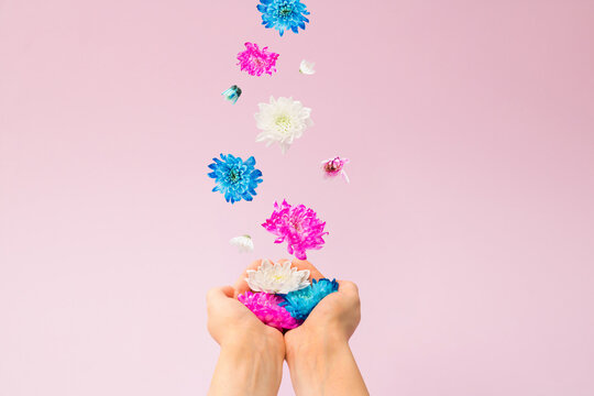 "Falling Flowers" Images – Browse 669 Stock Photos, Vectors, and Video ...