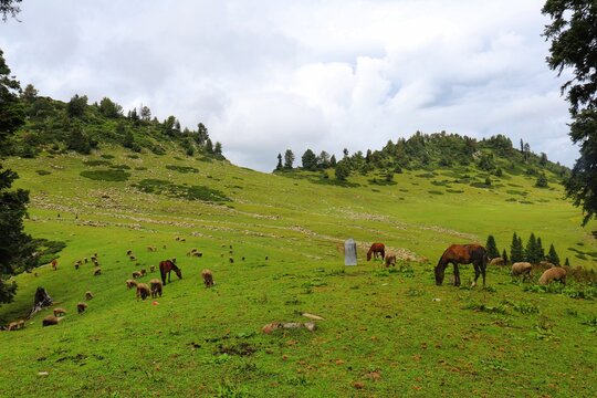 Marg Bilder – Durchsuchen 763 Archivfotos, Vektorgrafiken und Videos ...