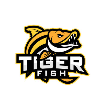 "Tiger Fish" Images – Browse 405 Stock Photos, Vectors, and Video ...