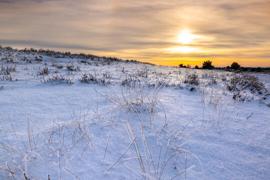 Winterheide Bilder – Durchsuchen 13,342 Archivfotos, Vektorgrafiken und ...