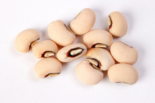 Lobia Images – Parcourir 565 le catalogue de photos, vecteurs et vidéos ...