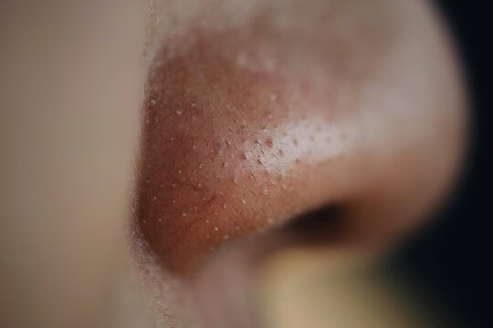 รูปภาพSnub-Nosed – เลือกดูภาพถ่ายสต็อก เวกเตอร์ และวิดีโอ5,934 | Adobe ...