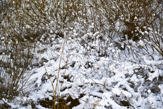 "Winter Scenes" Bilder – Durchsuchen 571 Archivfotos, Vektorgrafiken ...