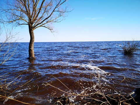 Imagens de Roofies – Explore Fotografias do Stock, Vetores e Vídeos de ...