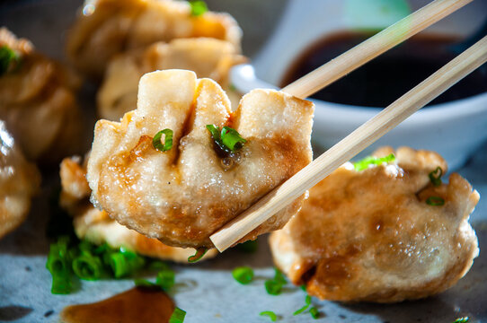 Guioza Images – Browse 91 Stock Photos, Vectors, and Video | Adobe Stock