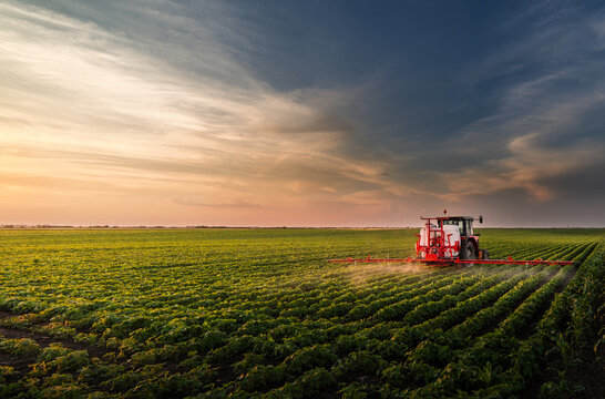 Free Farm Images – Browse 31,358 Free Stock Photos, Vectors, and Video ...