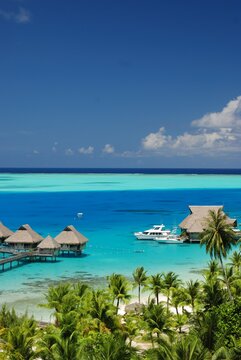 Bullar bilder – Bläddra bland 949 stockfoton, vektorer och videor ...