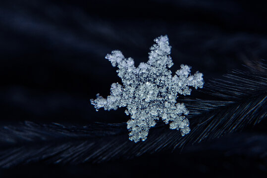 "Real Snowflake" Images – Browse 28 Stock Photos, Vectors, and Video ...