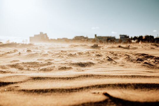 "Beach Day" Images – Parcourir 5,453 le catalogue de photos, vecteurs ...