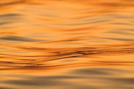 Reflection Backgrounds Images – Browse 6,239,239 Stock Photos, Vectors ...