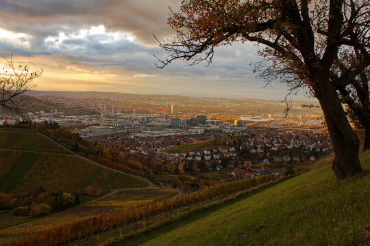 Imágenes de Rotenberg: descubre bancos de fotos, ilustraciones ...
