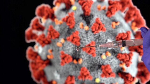 Vaccina bilder – Bläddra bland 1,014 stockfoton, vektorer och videor ...
