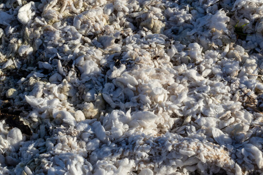 Holofiber Images – Browse 736 Stock Photos, Vectors, and Video | Adobe ...