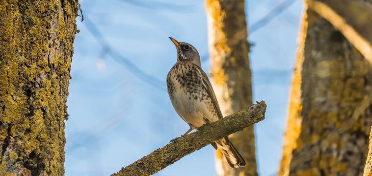Kopping Bilder – Durchsuchen 1,109 Archivfotos, Vektorgrafiken und ...