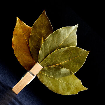 Tejpat bilder – Bläddra bland 260 stockfoton, vektorer och videor ...