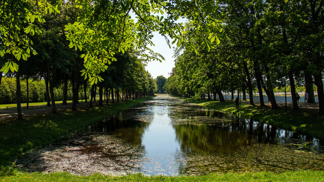 Surrounding Images – Browse 530,680 Stock Photos, Vectors, and Video ...