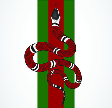 16 BEST Gucci Snake IMAGES, STOCK PHOTOS & VECTORS | Adobe Stock