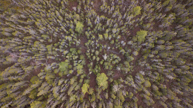 Kanc Bilder – Durchsuchen 212 Archivfotos, Vektorgrafiken und Videos ...