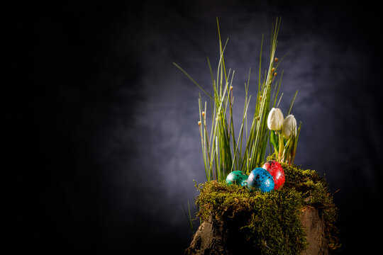 Froscheier Bilder – Durchsuchen 573 Archivfotos, Vektorgrafiken und ...