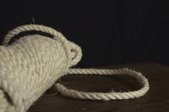 Soga Images – Browse 789 Stock Photos, Vectors, and Video | Adobe Stock