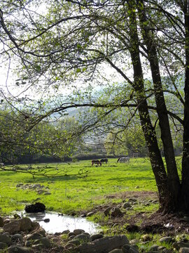 Jerte Bilder – Durchsuchen 2,947 Archivfotos, Vektorgrafiken und Videos ...