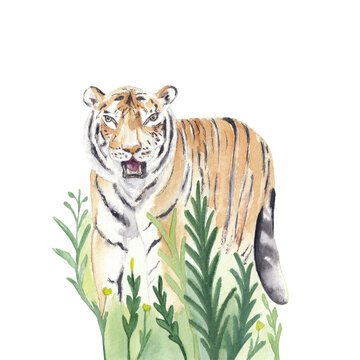 Posend Bilder – Durchsuchen 302 Archivfotos, Vektorgrafiken und Videos ...