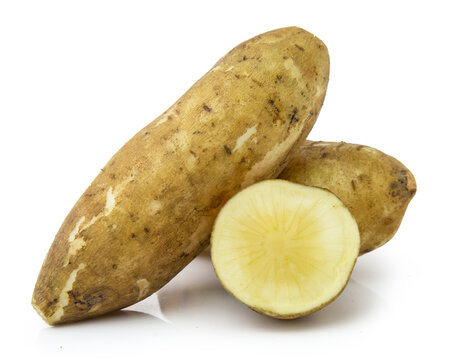 รูปภาพYacon – เลือกดูภาพถ่ายสต็อก เวกเตอร์ และวิดีโอ799 | Adobe Stock