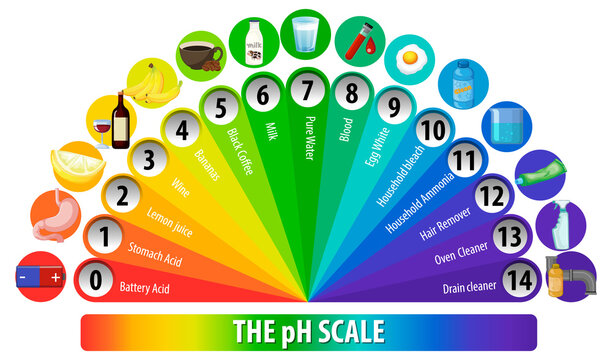 Ph Scale For Kids