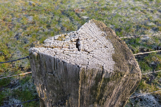 Disunite Bilder – Durchsuchen 6,647 Archivfotos, Vektorgrafiken und ...