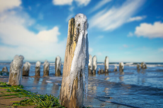 Organge Images – Browse 1,235 Stock Photos, Vectors, and Video | Adobe ...